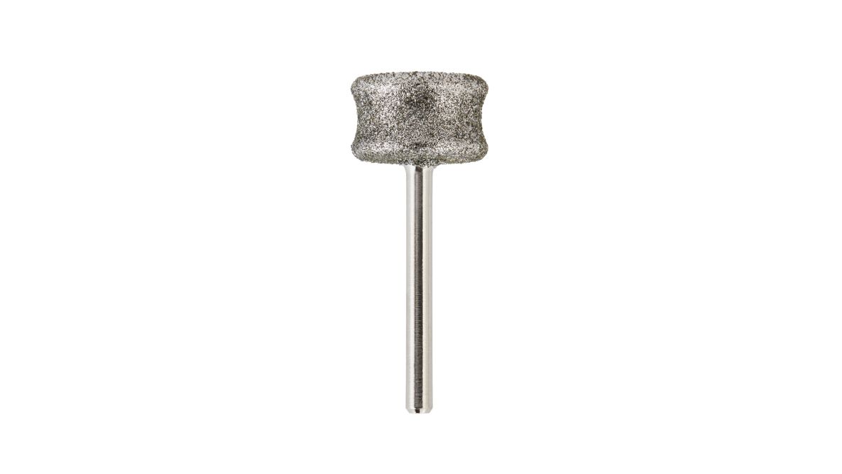 Bosch Groen Accessoires 26150416DM MAX Schuurband diamant Pet